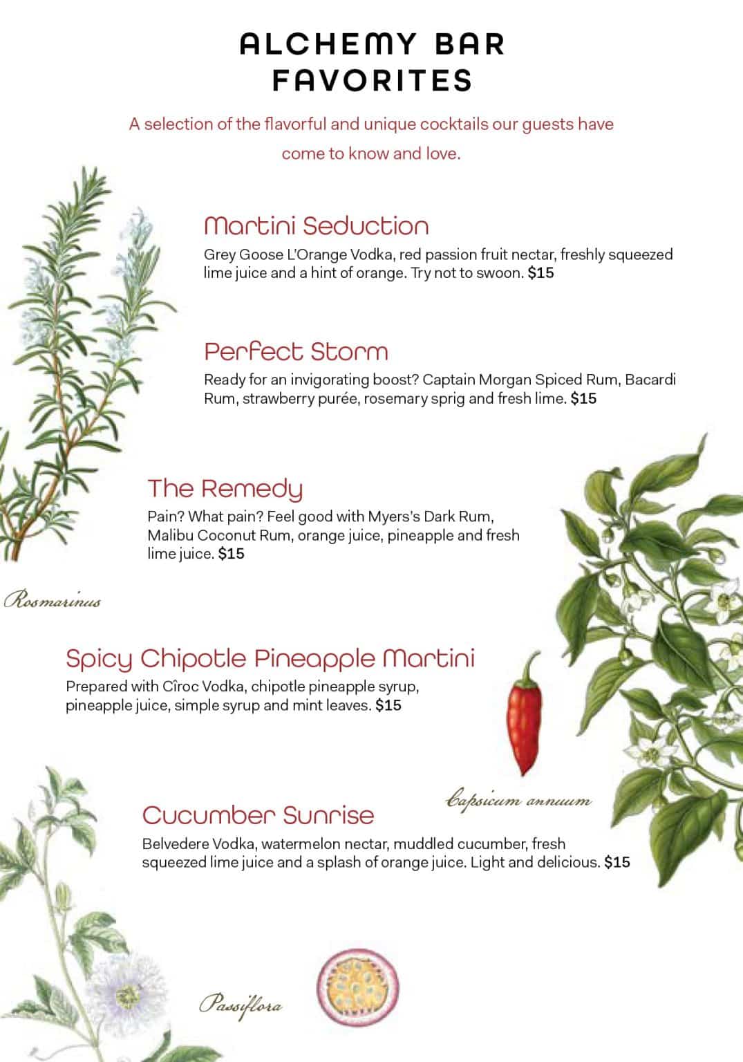 Carnival Venezia Bars (With Menus and Prices) - Cruise Spotlight