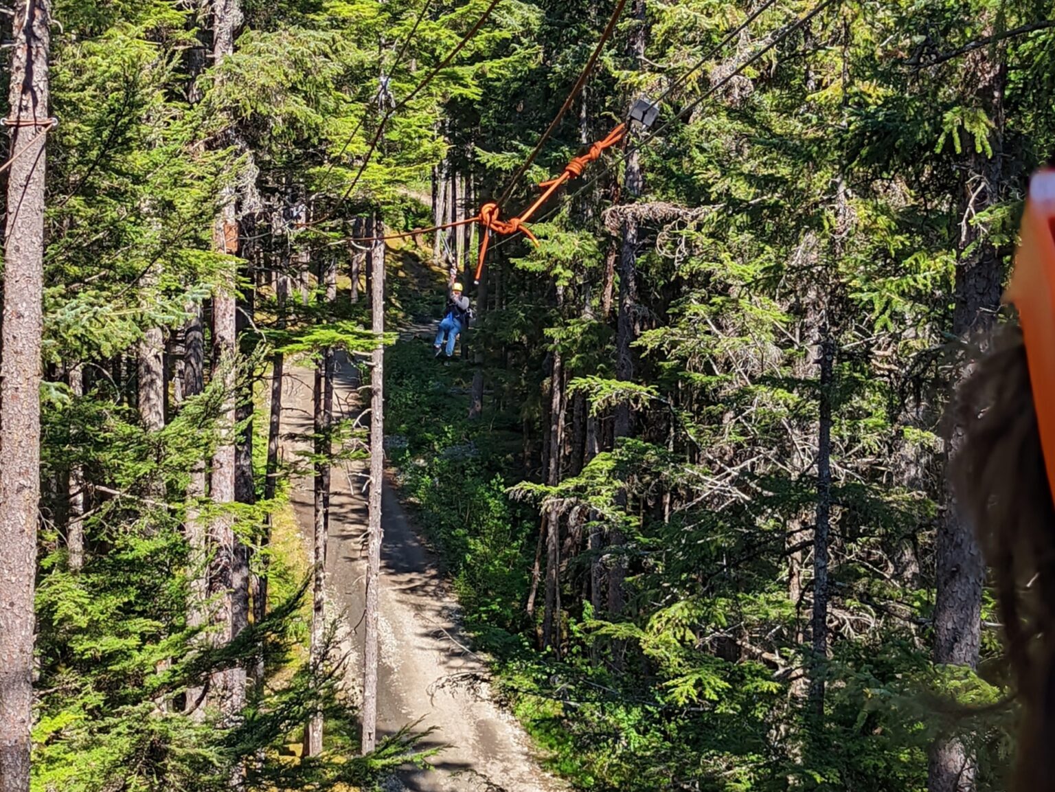 Excursion Review: Grizzly Falls Ziplining in Skagway, Alaska - Cruise ...